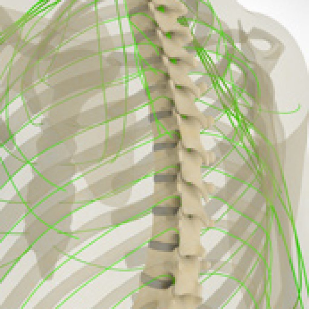 Spinal Cord Injury | New Jersey Spine Specialists